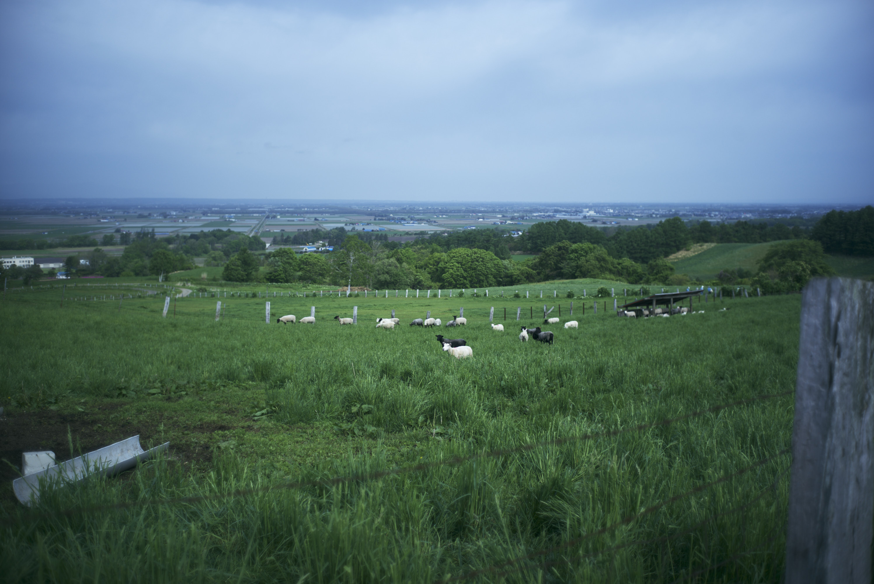 Other5.Heidi Farm_BTS_Ep1_S2_210527_0001