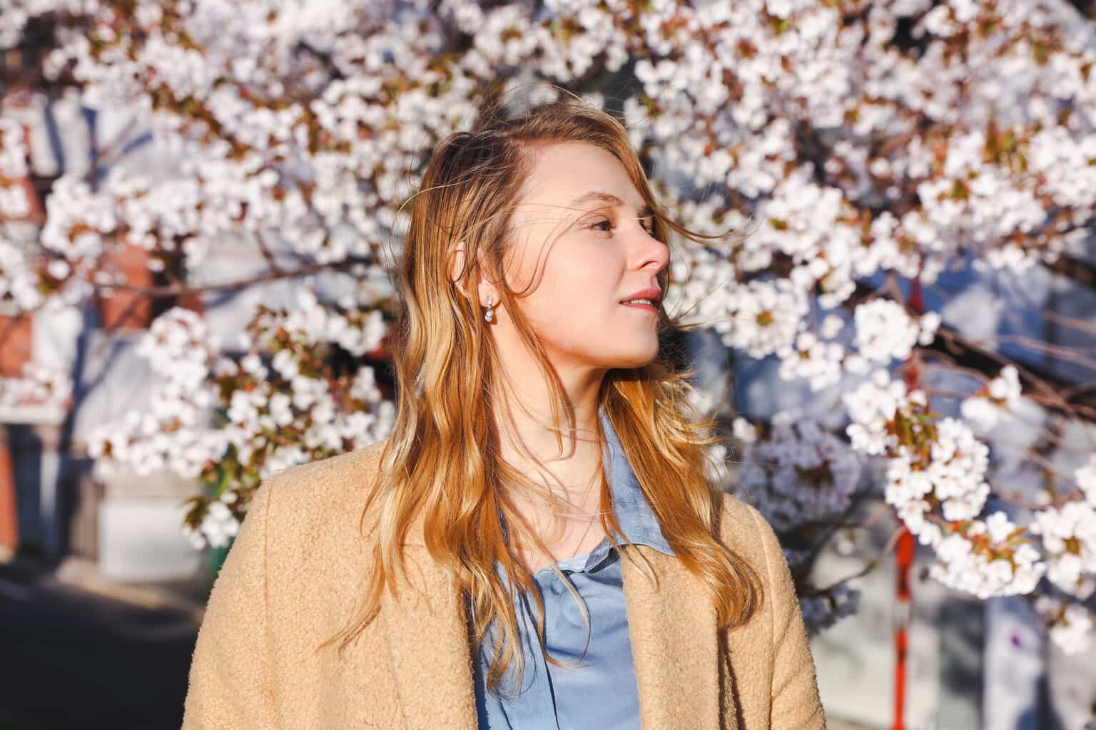 sydsnap_sakura_2