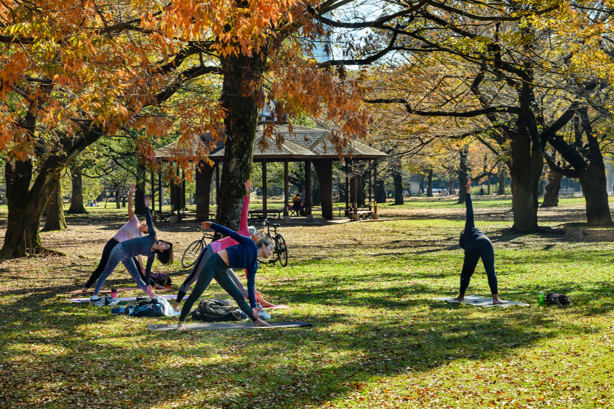 yoga class in the park