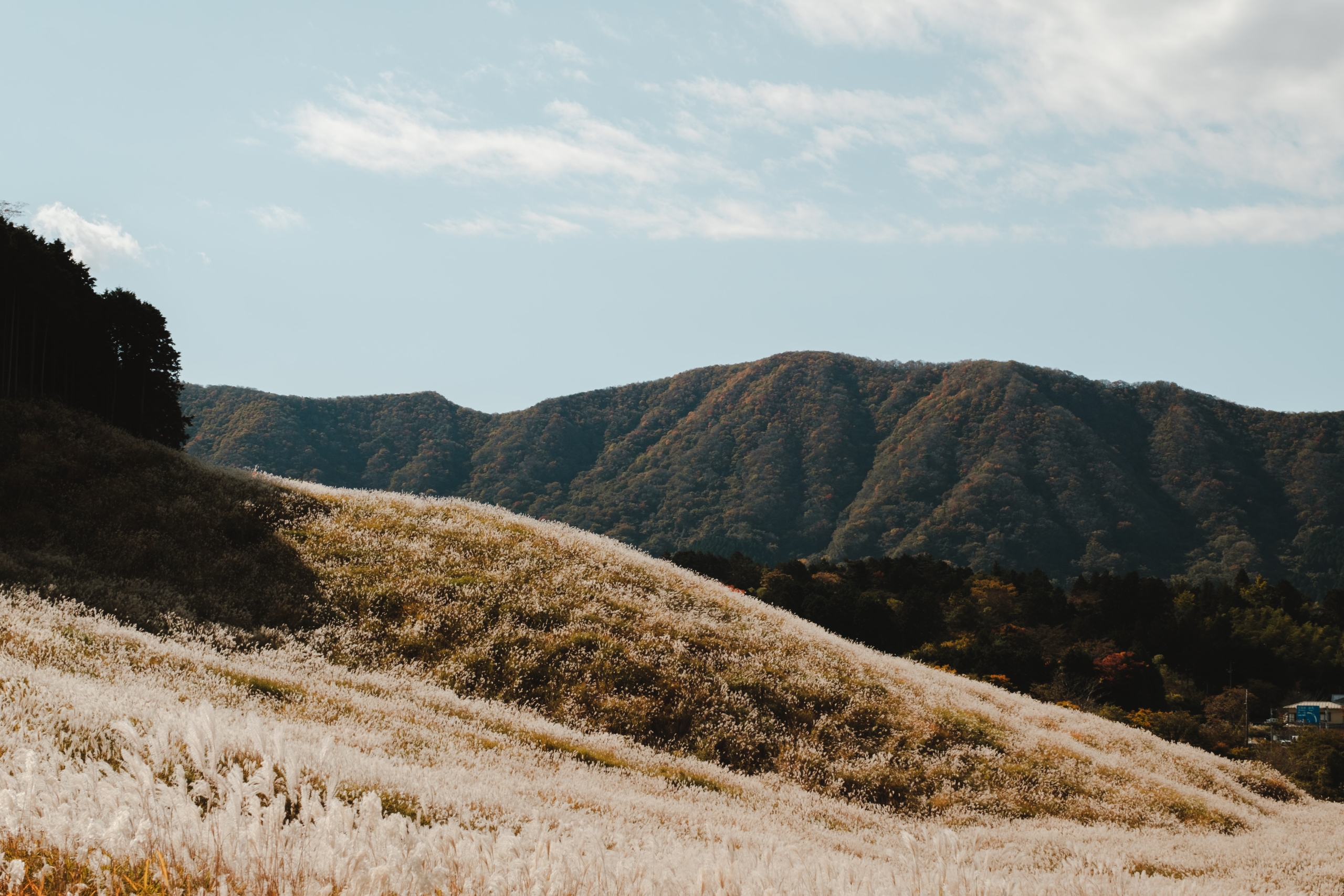 best things to do kanagawa