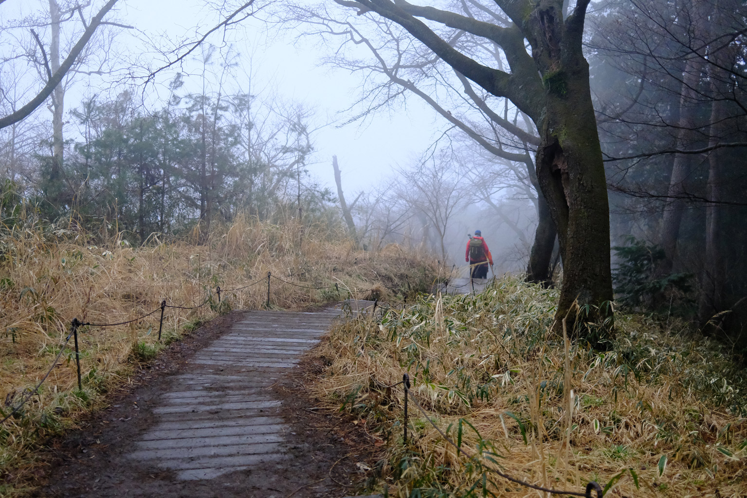 Mount Takao Tokyo Hiking Guide Tokyo Weekender