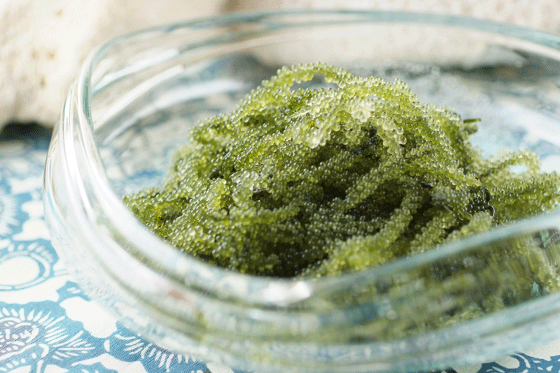 okinawan-food-umi-budo