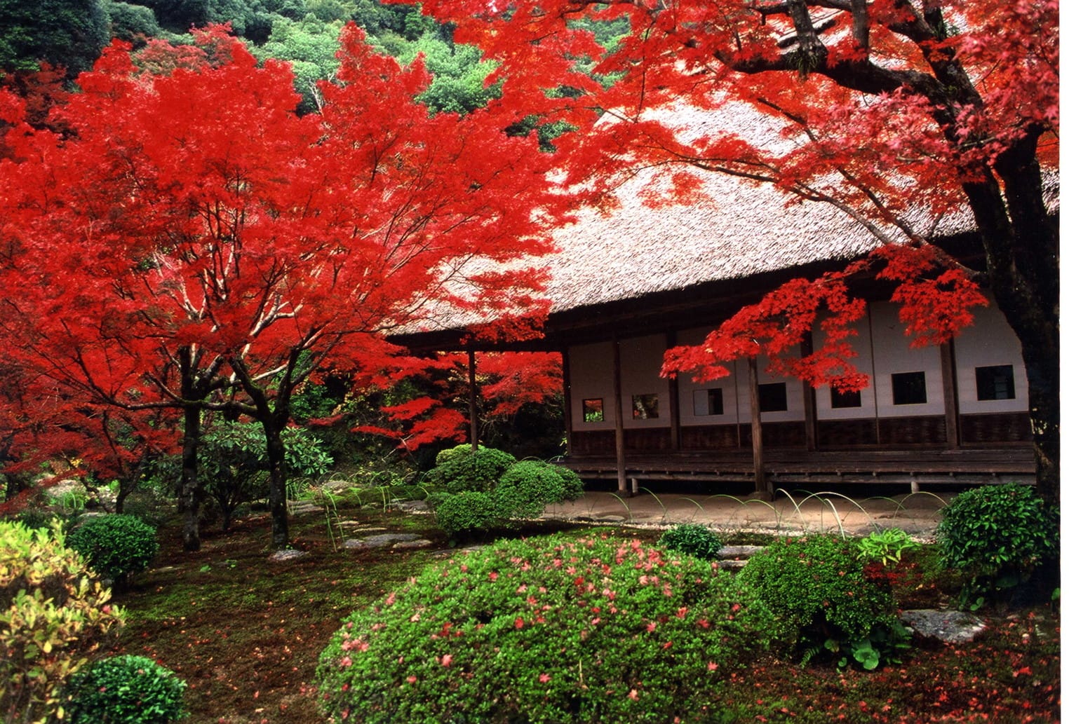6 Ways to Enjoy Fall in Kyushu's Saga Prefecture | Tokyo Weekender