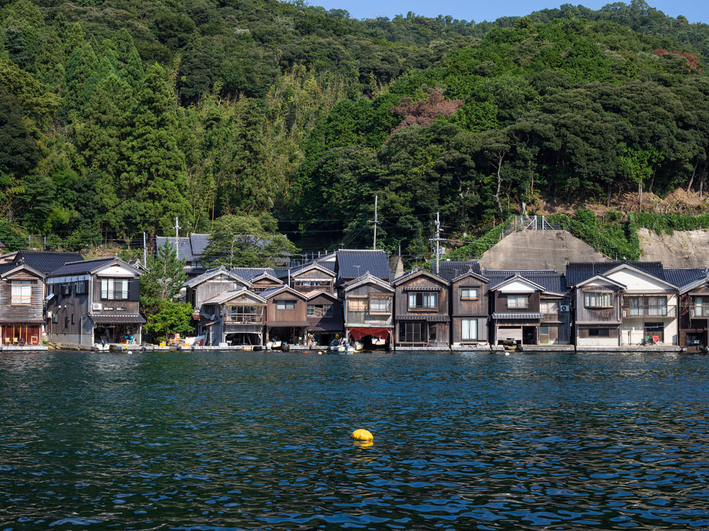 An Alternative Guide to Kyoto Prefecture: Choose Between Forests, Tea ...