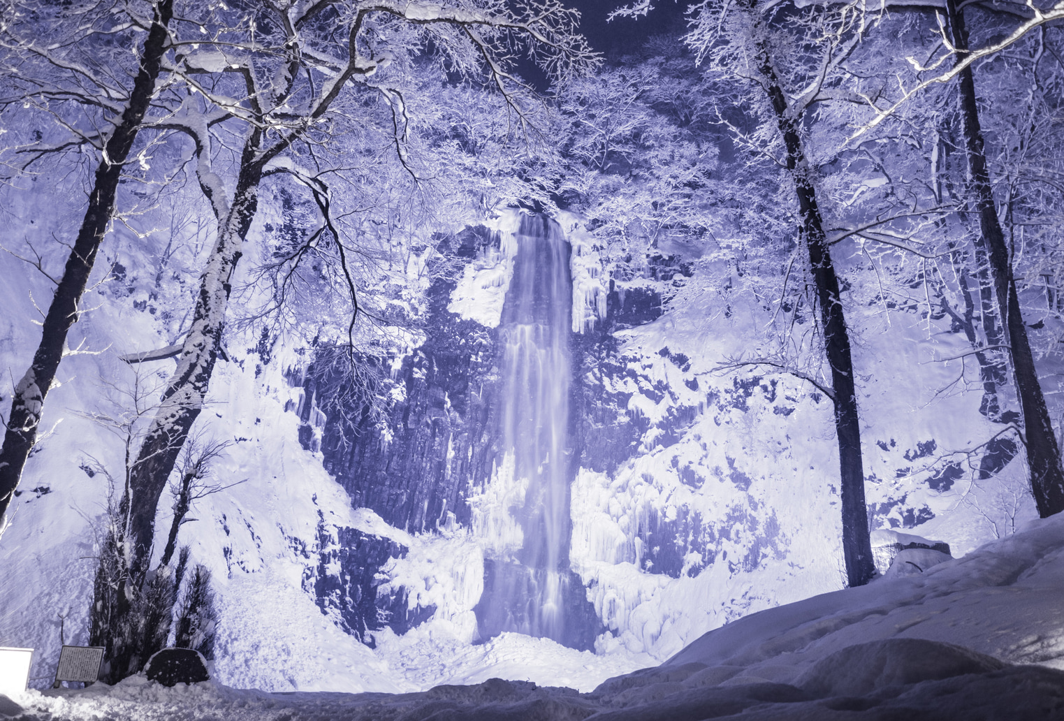 Tour Japan: What To Do in Shonai, Yamagata’s Winter Wonderland | Tokyo ...