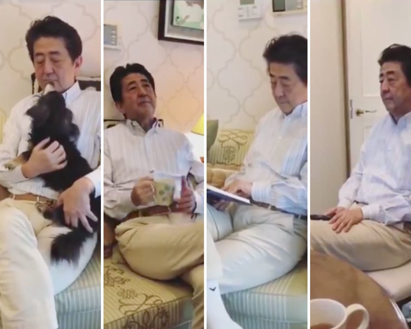 "Who Do You Think You Are?": PM Shinzo Abe's #StayHome Viral Video ...