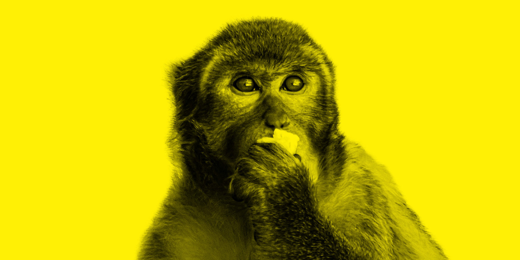 TW Creatives: "K Troop" — A Short Story by Kyoto-based Author, Kevin ...