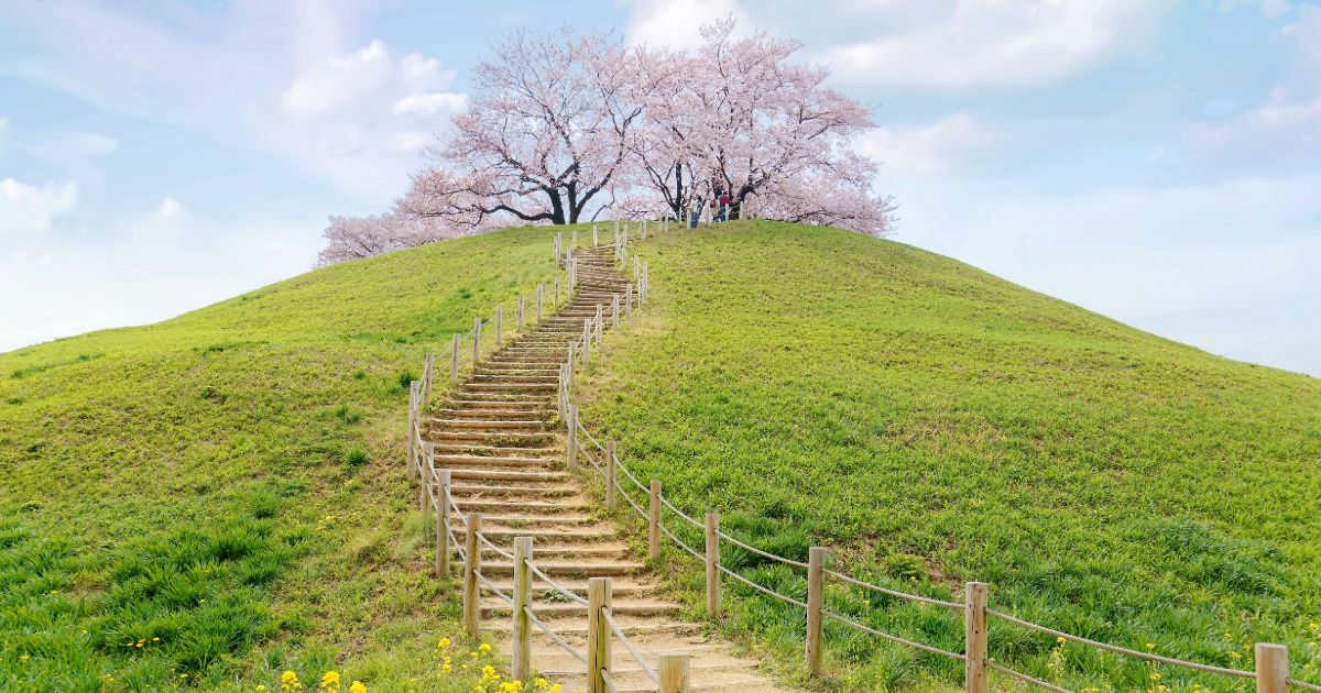 13 Best Places to See Cherry Blossoms in Saitama | Tokyo Weekender