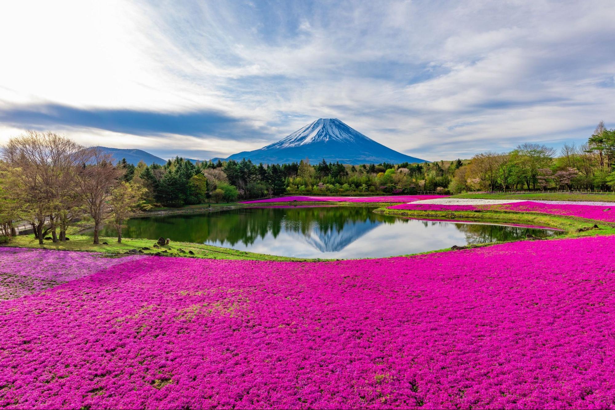 Fuji Hakone Pass: Explore Nature, Tradition and Culture | Tokyo Weekender