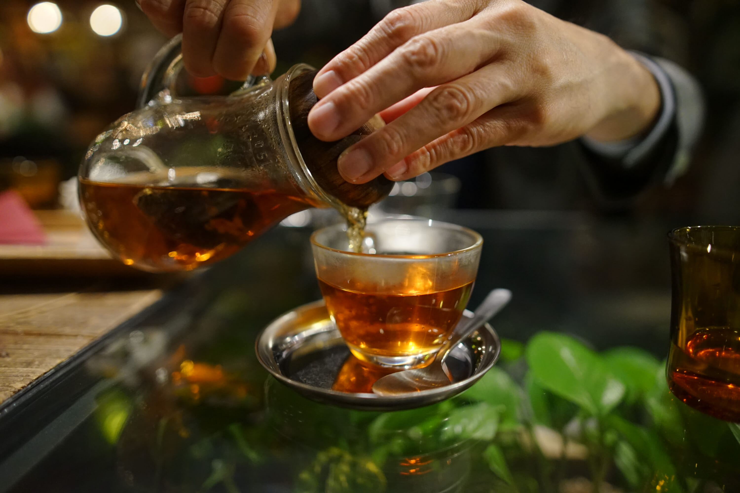 Plants and Coffee: 5 Biophilic Cafés in Tokyo | Tokyo Weekender