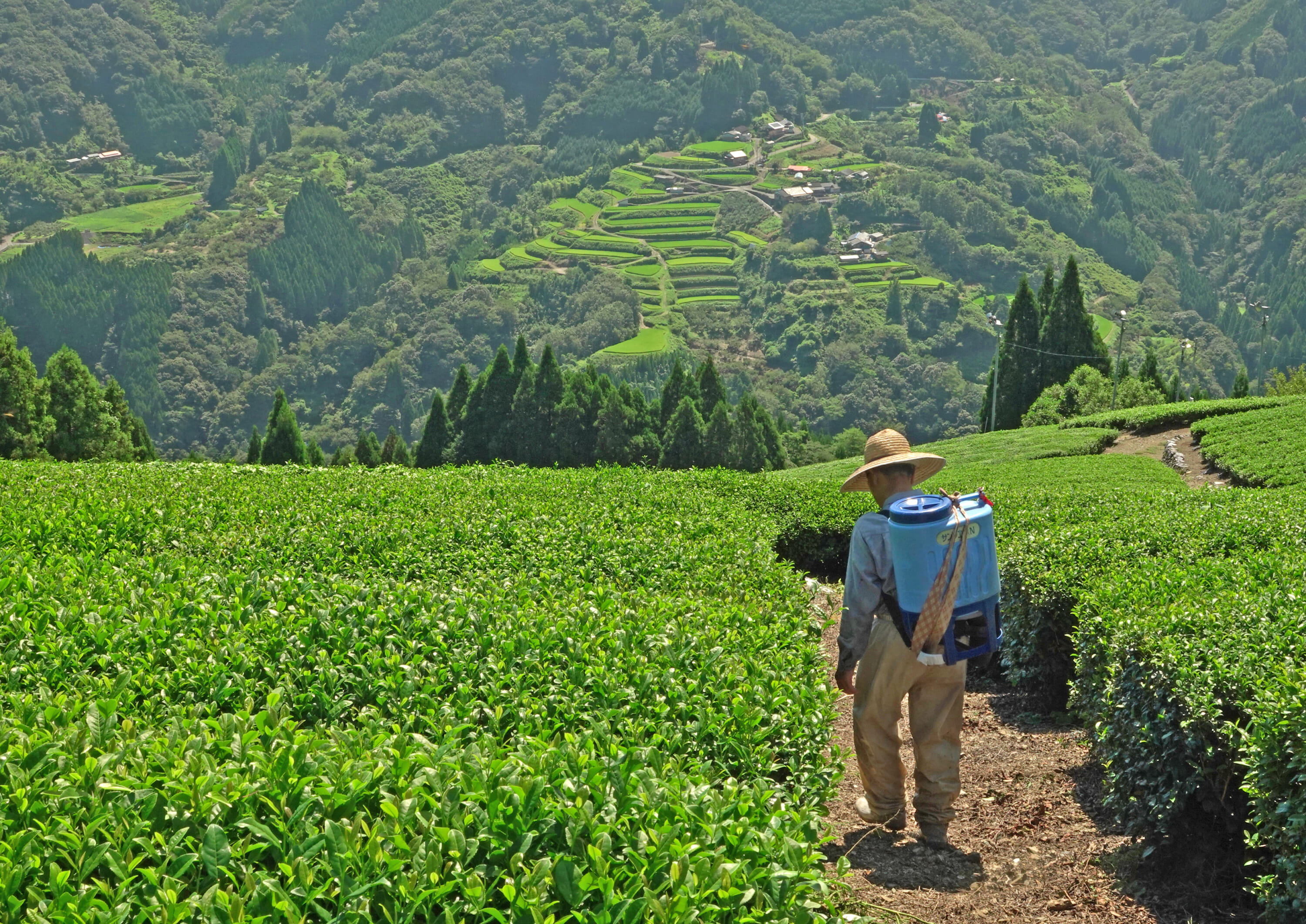 Embark on a Spiritual Journey in Sublime Miyazaki | Tokyo Weekender