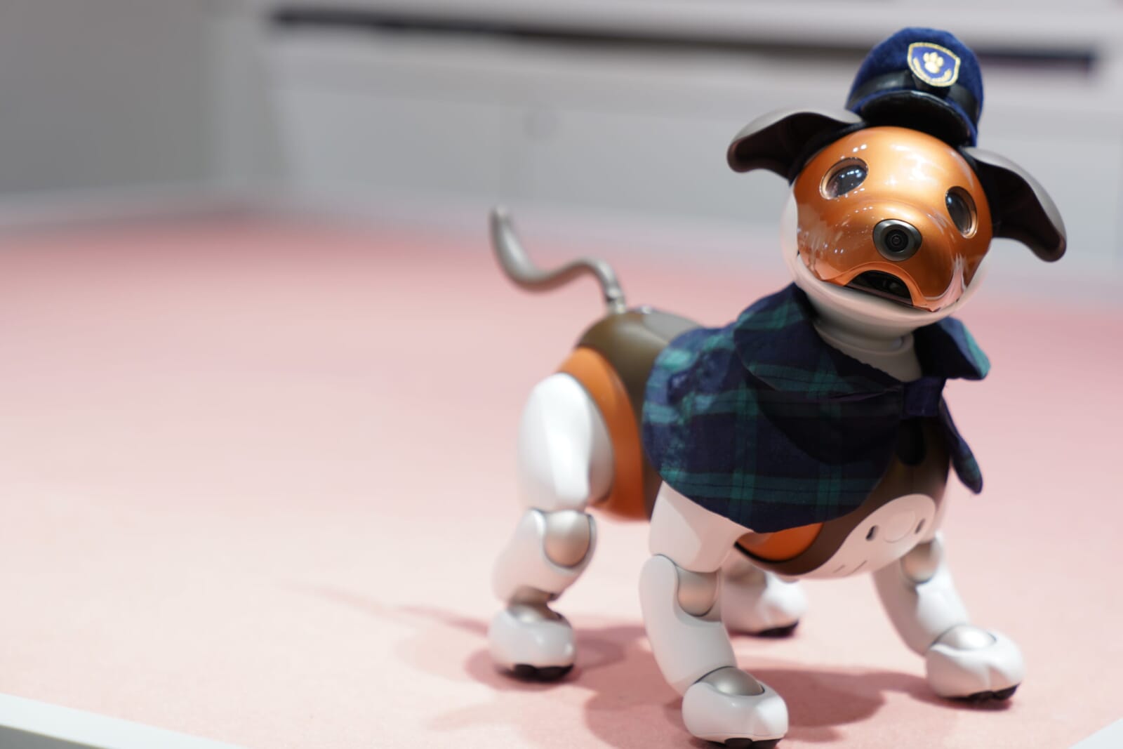 aibo dog robot - japan tech trends