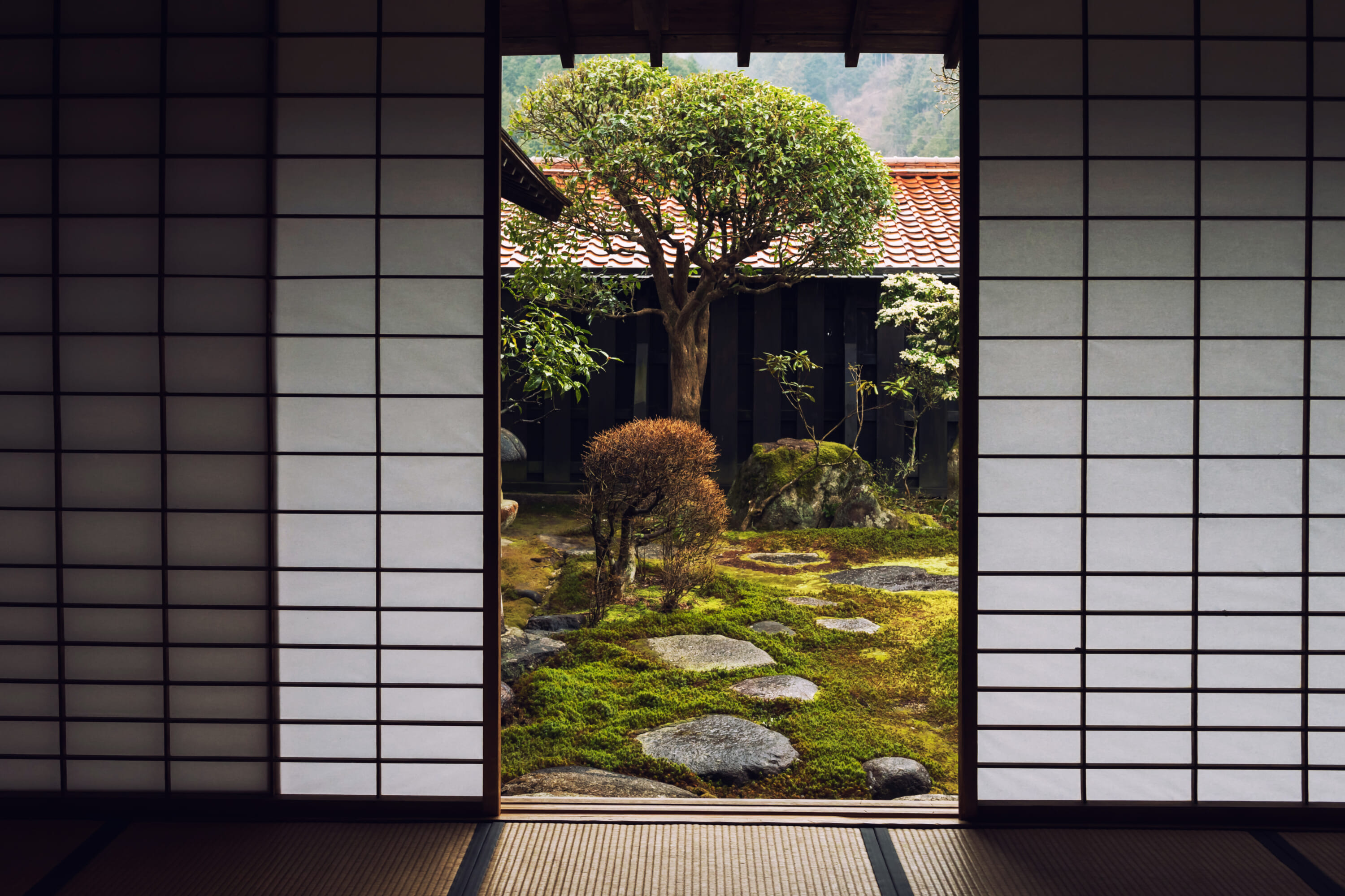Japan Rice Paper
