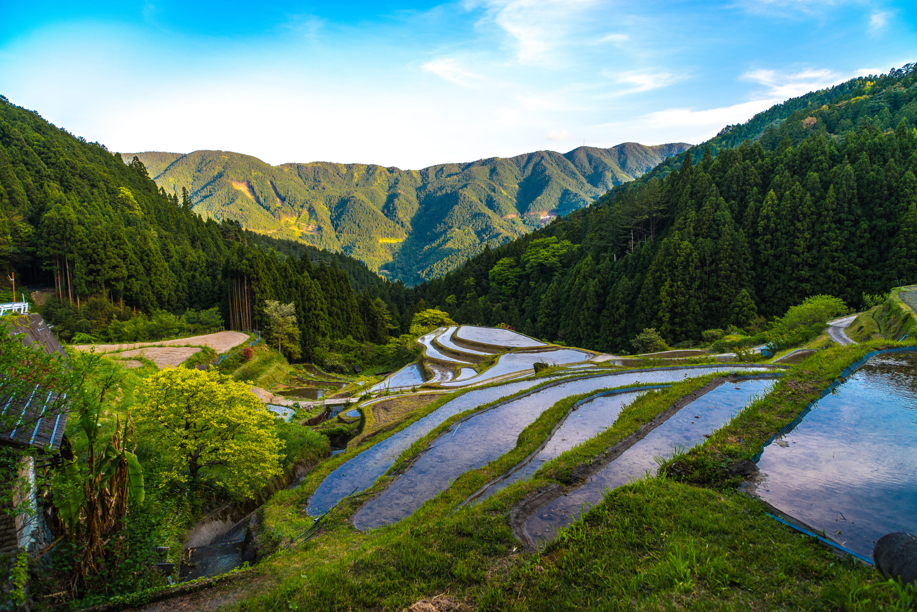 Transformational Travel: Visit Kamikatsu, Japan’s First Zero-waste Town ...