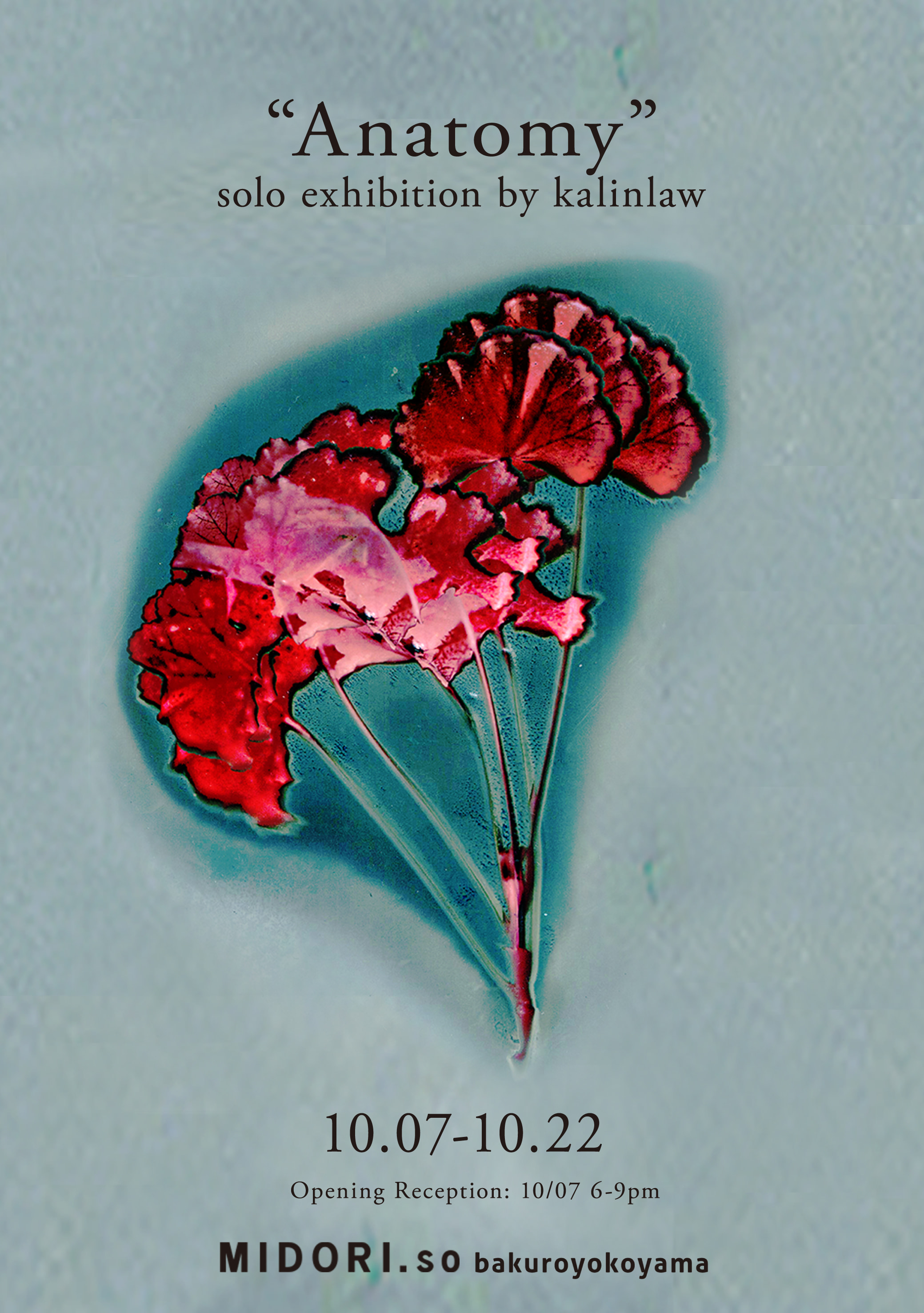 Anatomy: Solo Exhibition by Kalin Law