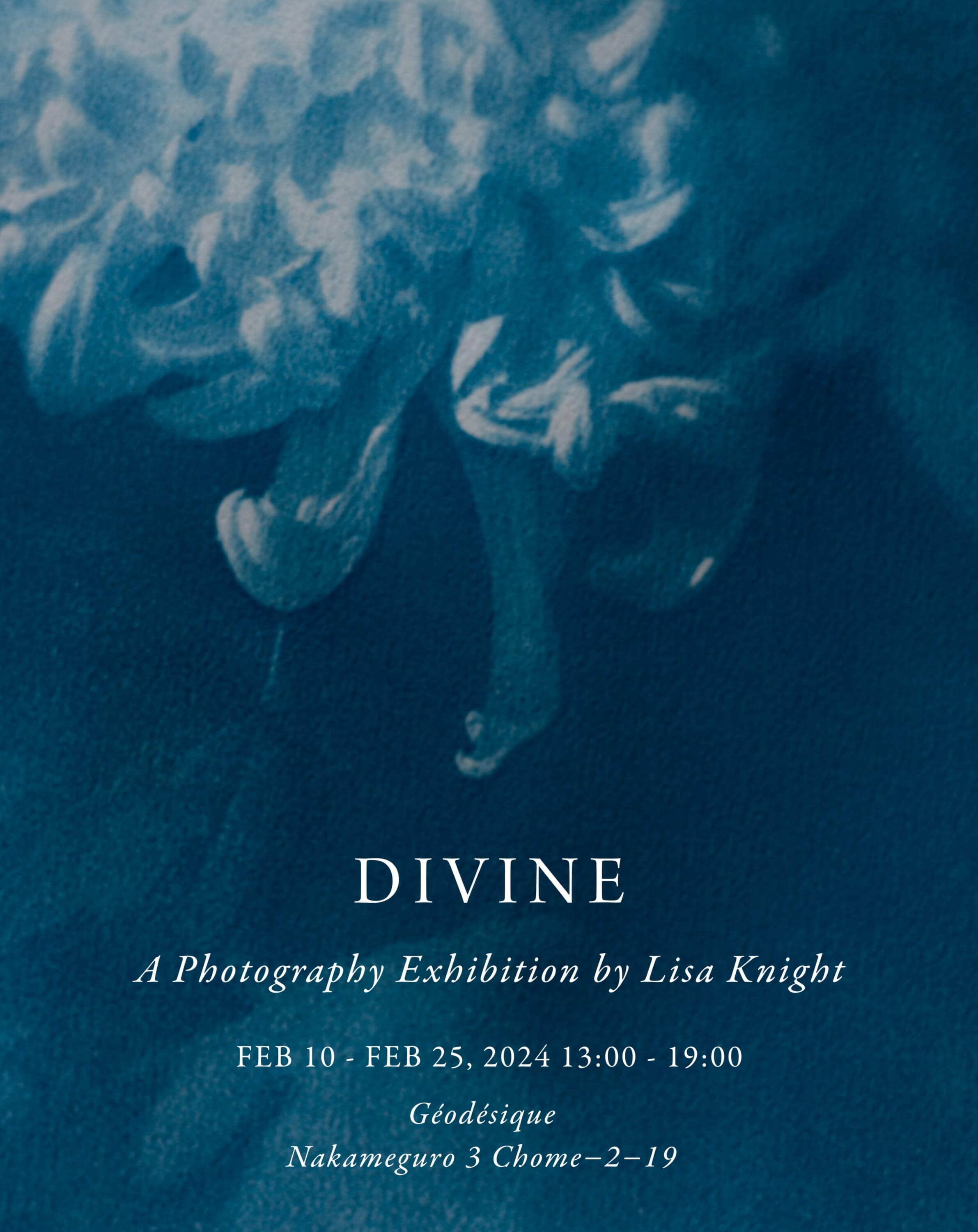 Divine: Photography Exhibition by Lisa Knight