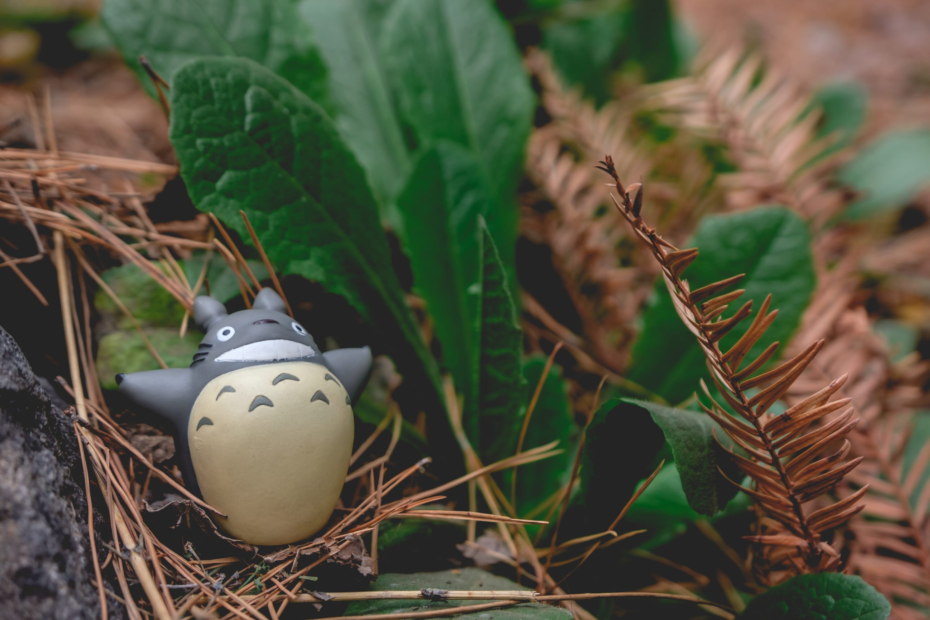 Real-Life Locations That Inspired My Neighbor Totoro