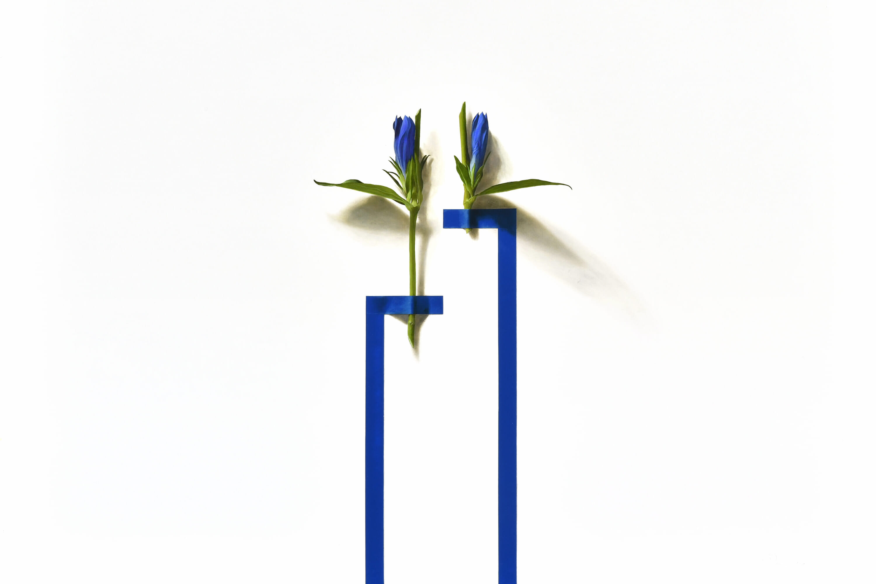 Daiya Yamamoto Solo Exhibition